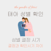태아 성별 확인 시기 아기 성별 결정 시점 언제 W반전은 있을까 네이버 블로그